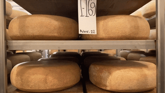 Pleasant Ridge Reserve Cheese – Wisconsin Cheese Mart